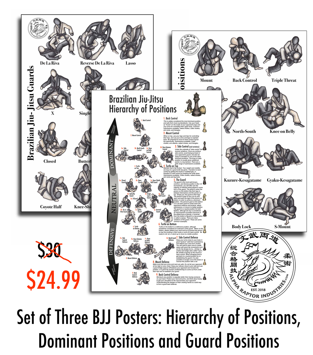 Set of 3 Prints: Hierarchy of Positions, Dominant Positions and Guard – Alpha Raptor Industries